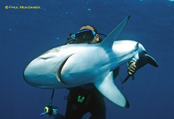 Jardines de la Reina
